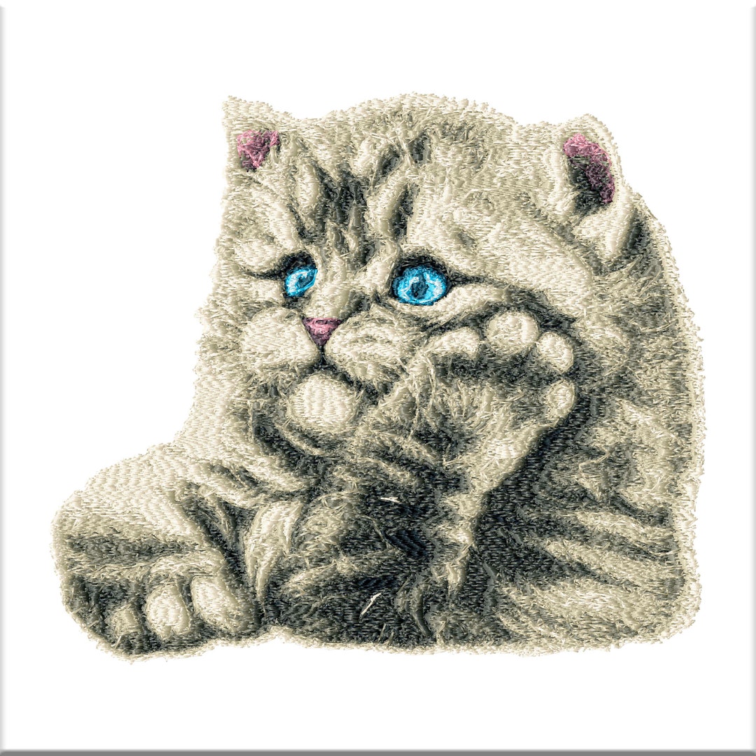 Fluffy Kitten Embroidery Machine Design. Digital Embroidery Pattern Cat ...
