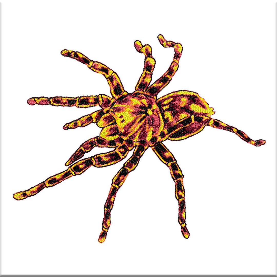 Machine Embroidery Design Spider. Embroidery Files Digital Dst Pes Vip ...