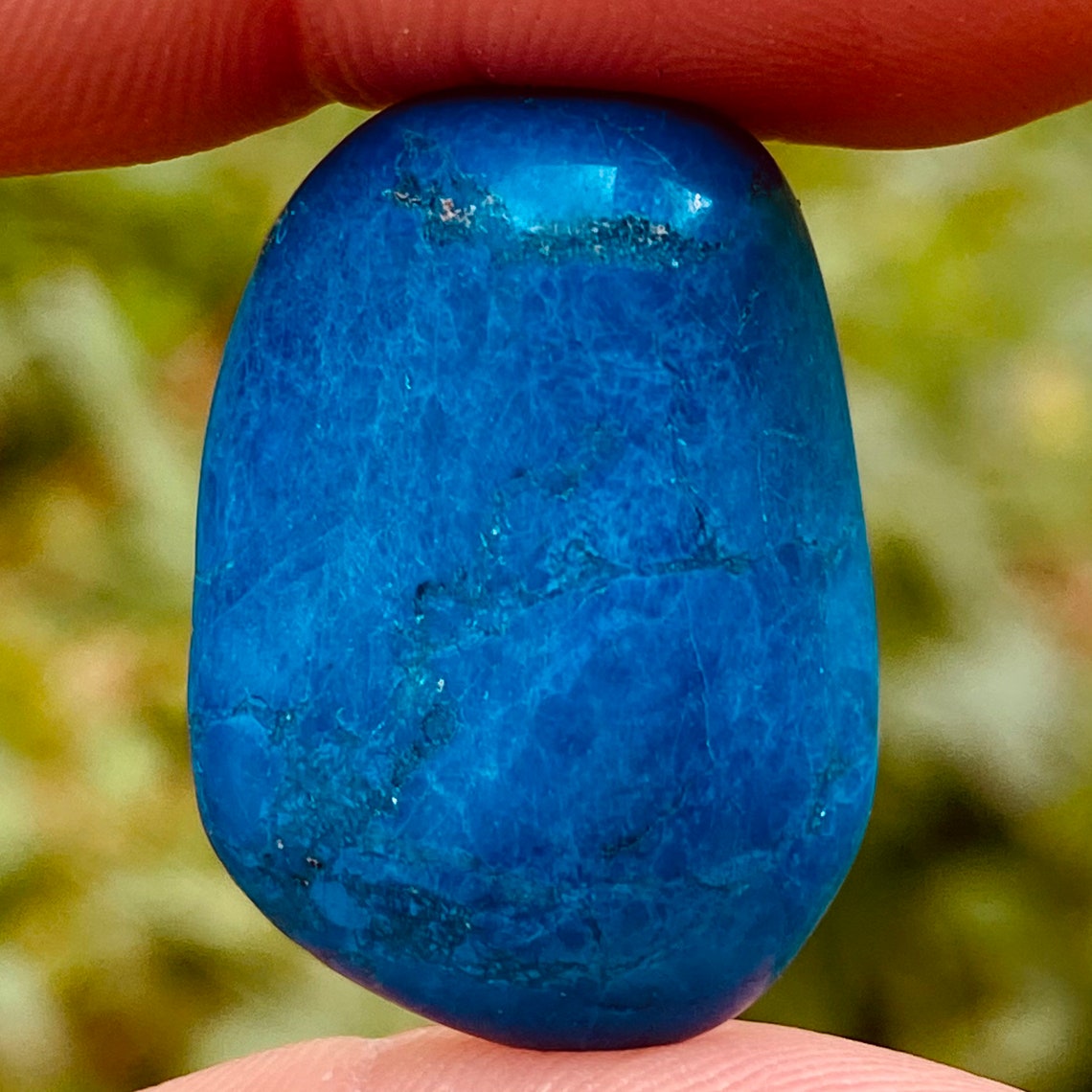 Small Blue Howlite Tumbled Stone Howlite Tumble Crystal | Etsy