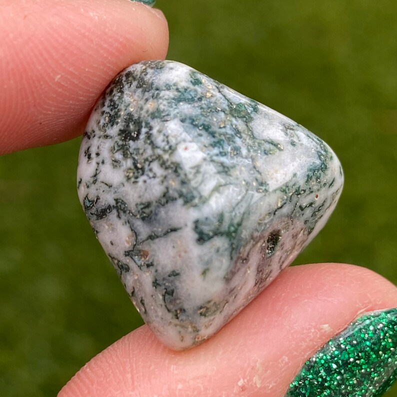 Tree Agate Tree Agate Tumbled Stone Tree Agate Tumble Stone | Etsy