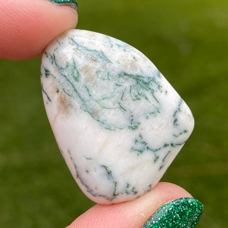 Tree Agate Tree Agate Tumbled Stone Tree Agate Tumble Stone | Etsy