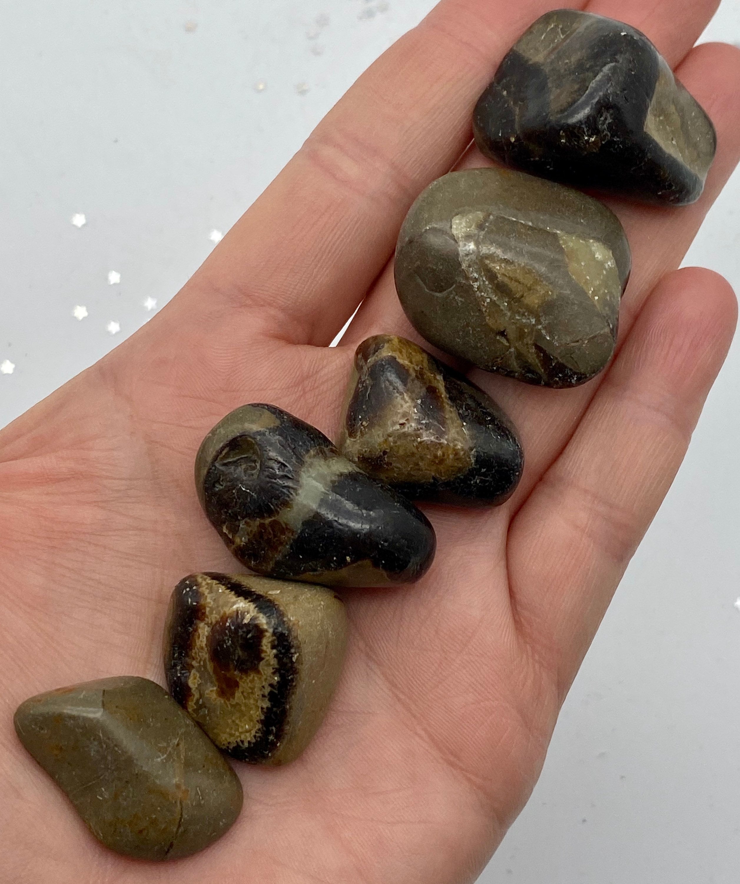 Septarian Septarian Tumbled Stone Septarian Tumble Stone | Etsy