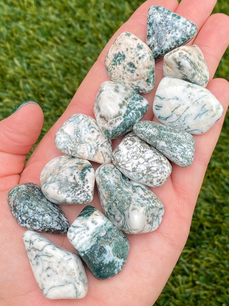 Tree Agate Tree Agate Tumbled Stone Tree Agate Tumble Stone | Etsy