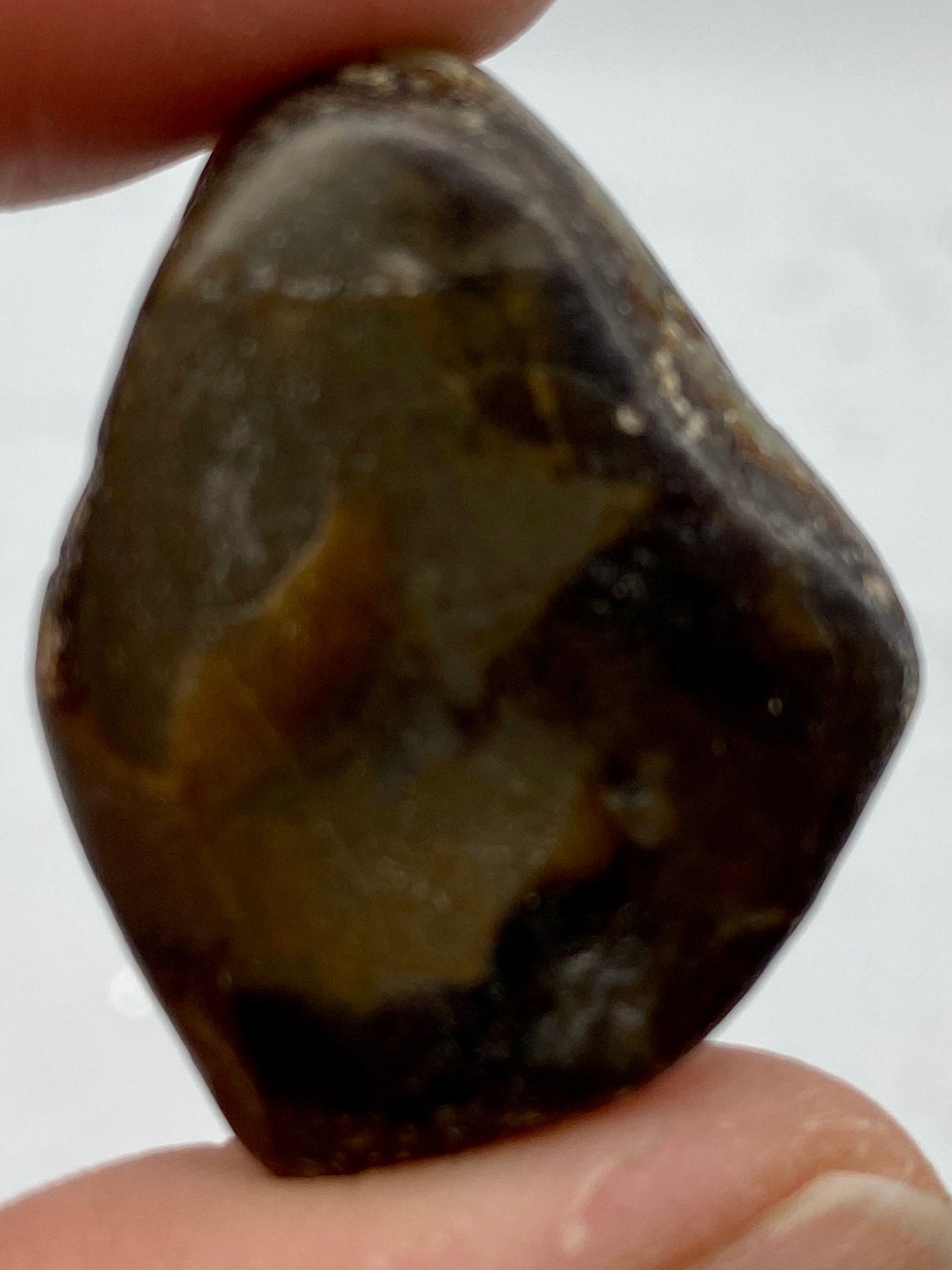 Septarian Septarian Tumbled Stone Septarian Tumble Stone | Etsy