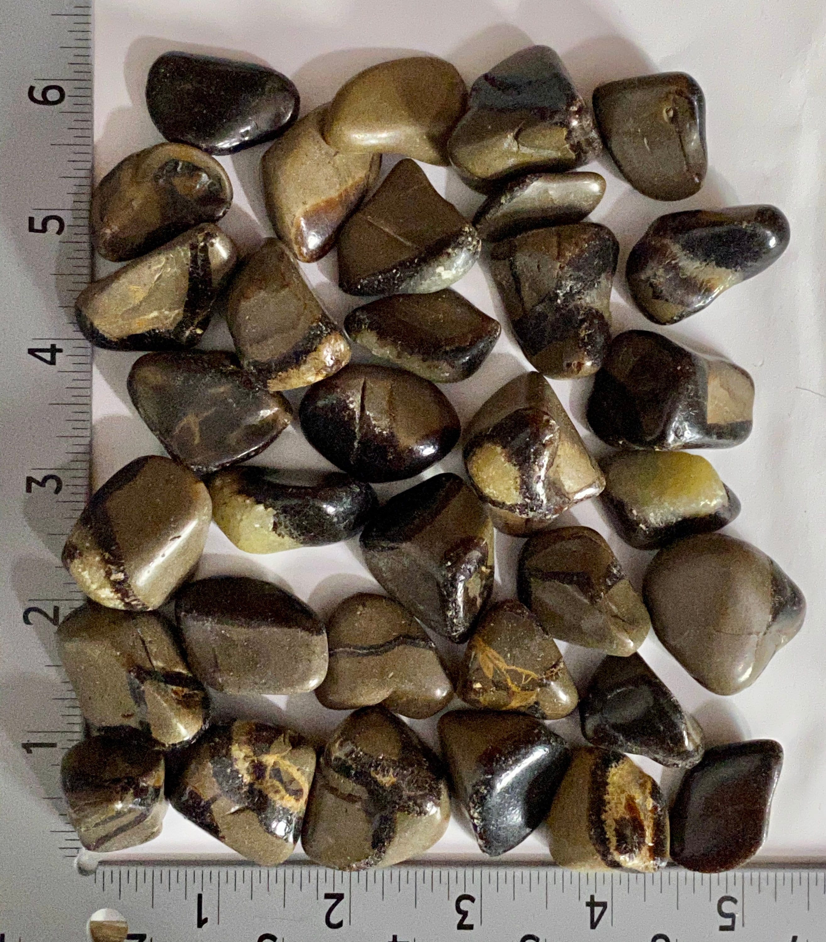 Septarian Septarian Tumbled Stone Septarian Tumble Stone | Etsy