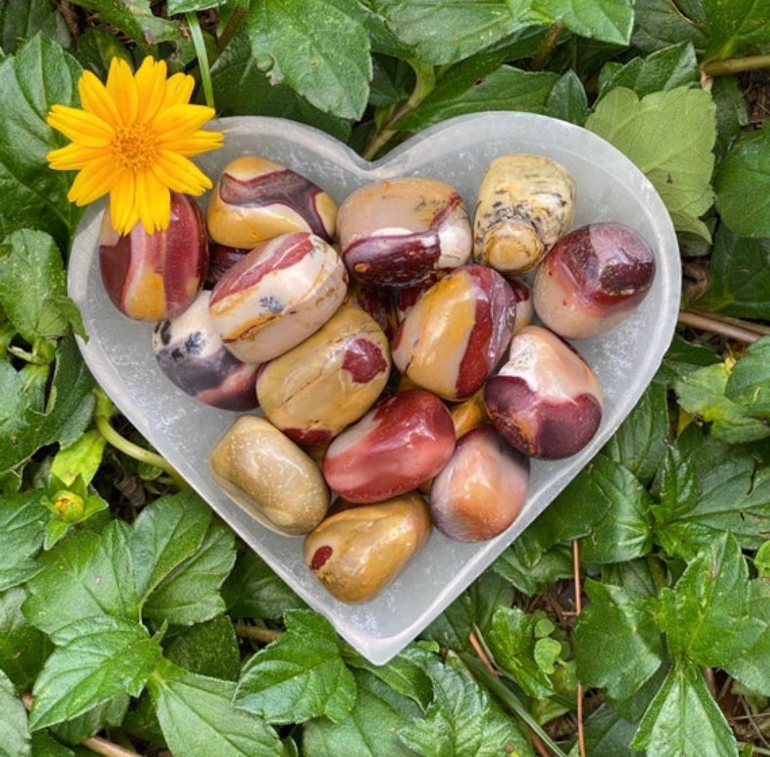 Mookaite Jasper Tumbled Stone Mookaite Tumble Jasper - Etsy