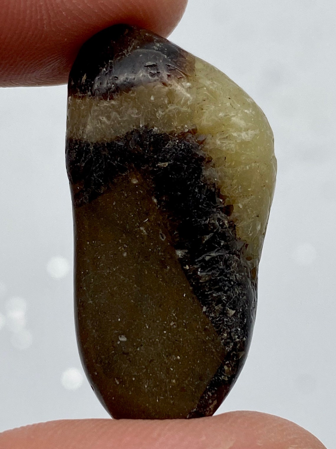 Septarian Septarian Tumbled Stone Septarian Tumble Stone | Etsy