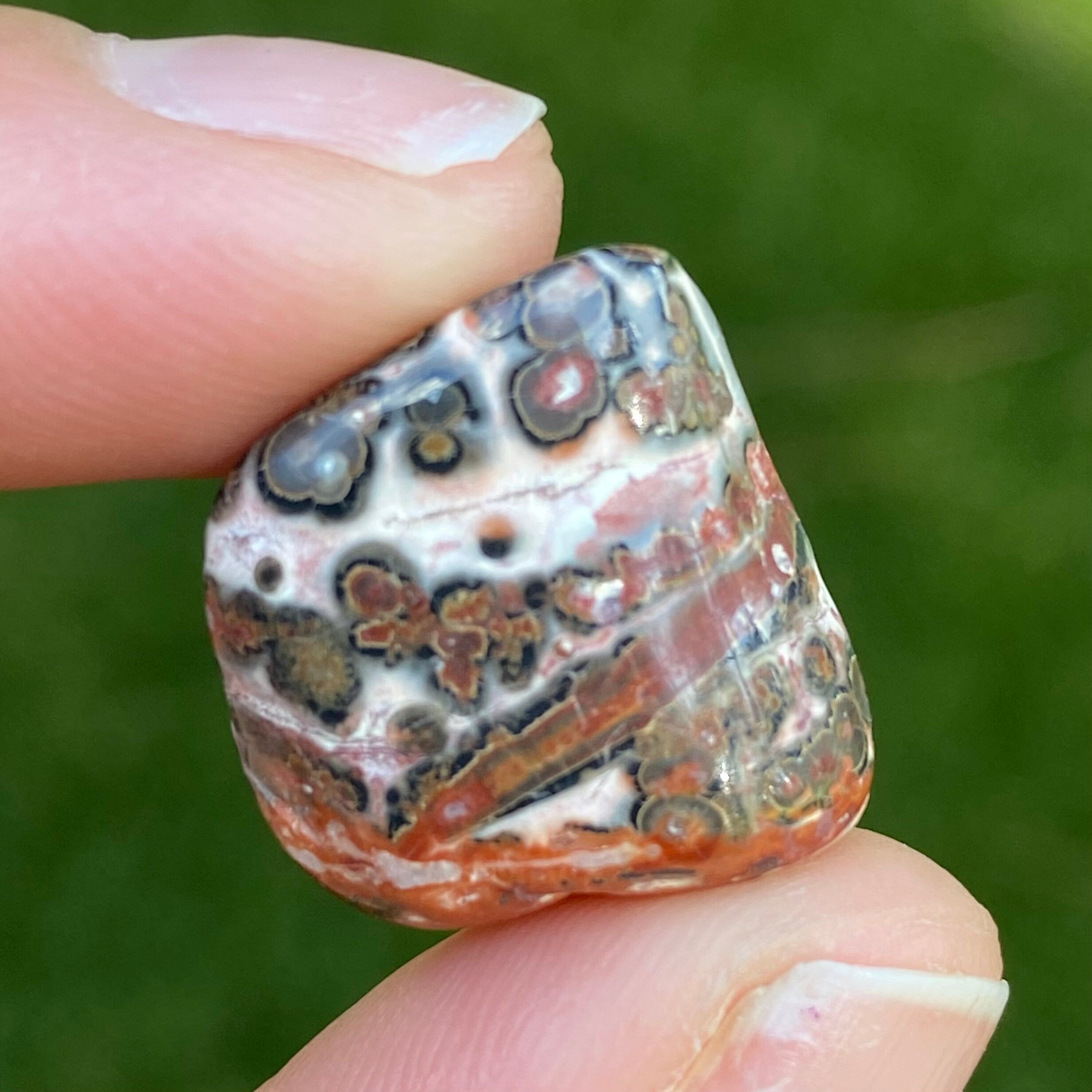 Small Mexican Leopard Skin Jasper Leopardskin Jasper Tumbled | Etsy