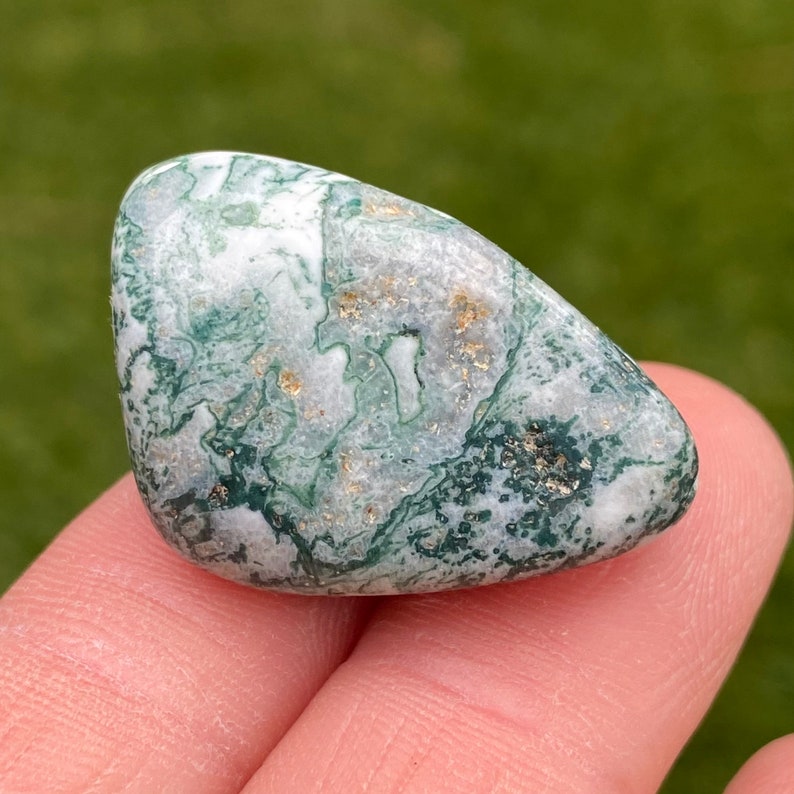 Tree Agate Tree Agate Tumbled Stone Tree Agate Tumble Stone | Etsy