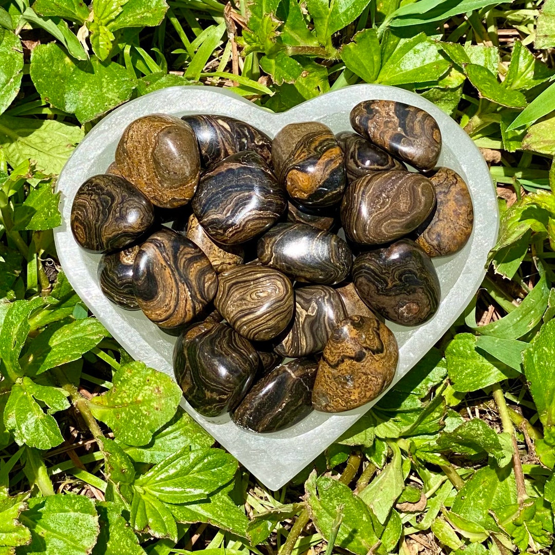Polished Stromatolite Tumbled Stone: Grounding Fossilized Algae - Etsy