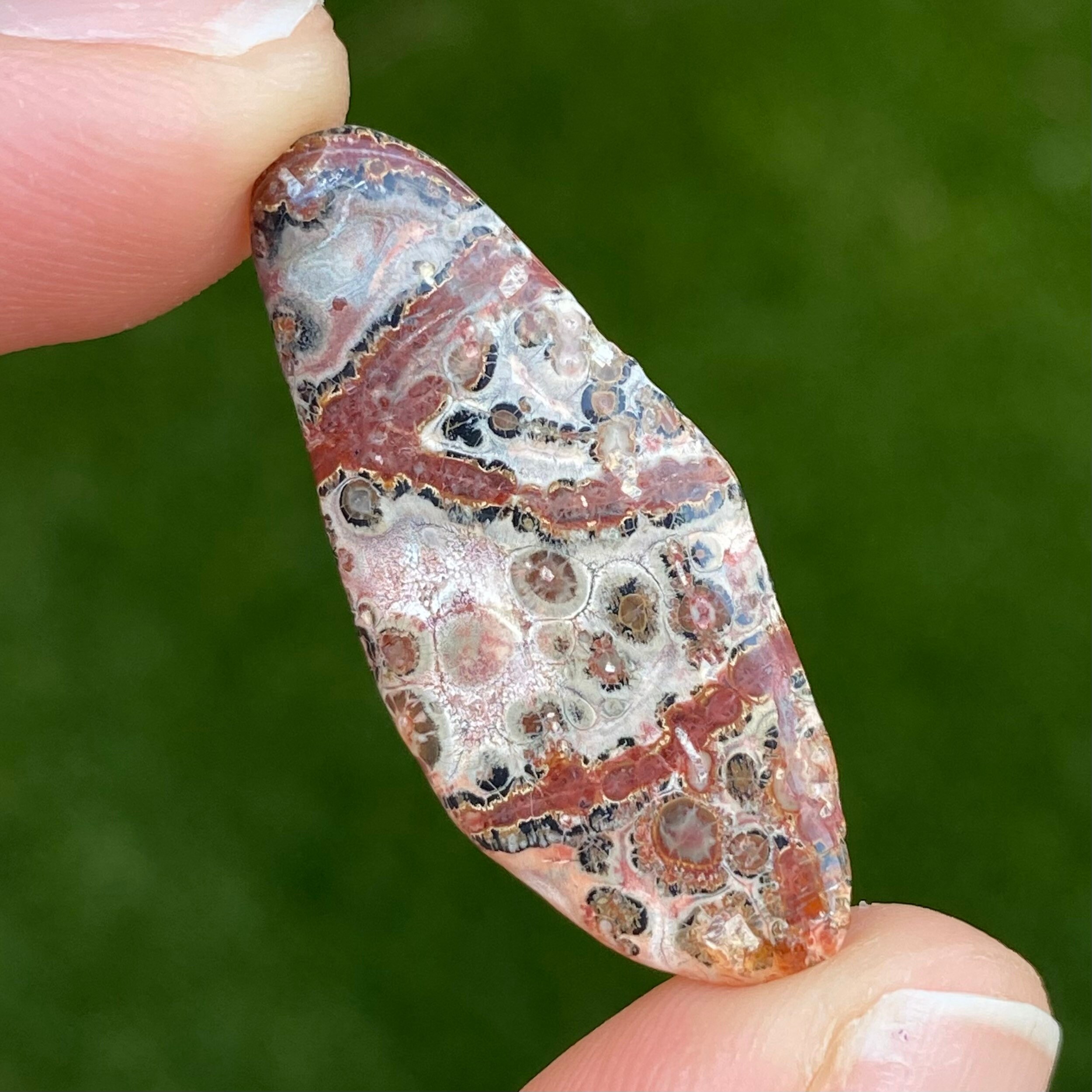 Small Mexican Leopard Skin Jasper Leopardskin Jasper Tumbled | Etsy