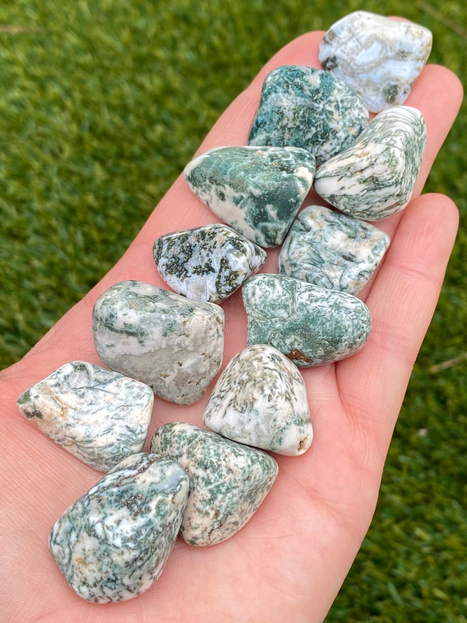 Tree Agate Tree Agate Tumbled Stone Tree Agate Tumble Stone - Etsy Italia