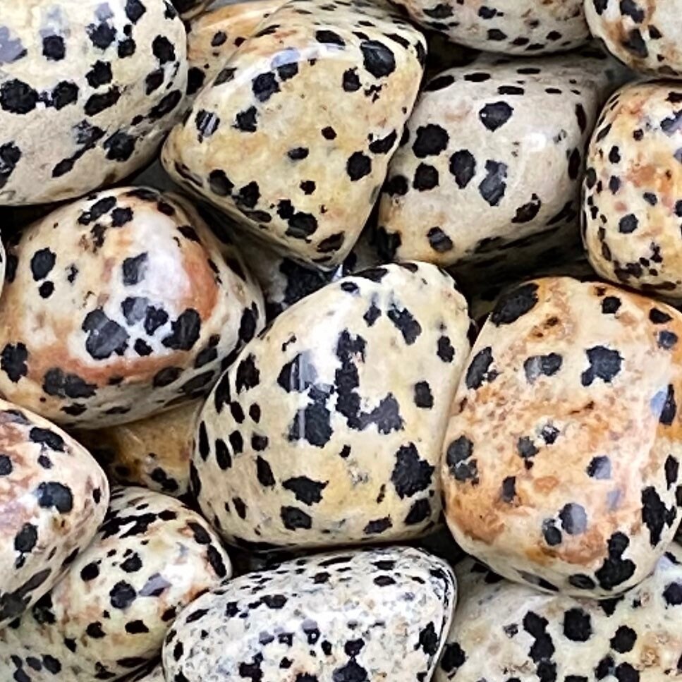 Dalmatian Jasper Dalmatian Jasper Tumbled Stones Dalmatian - Etsy UK