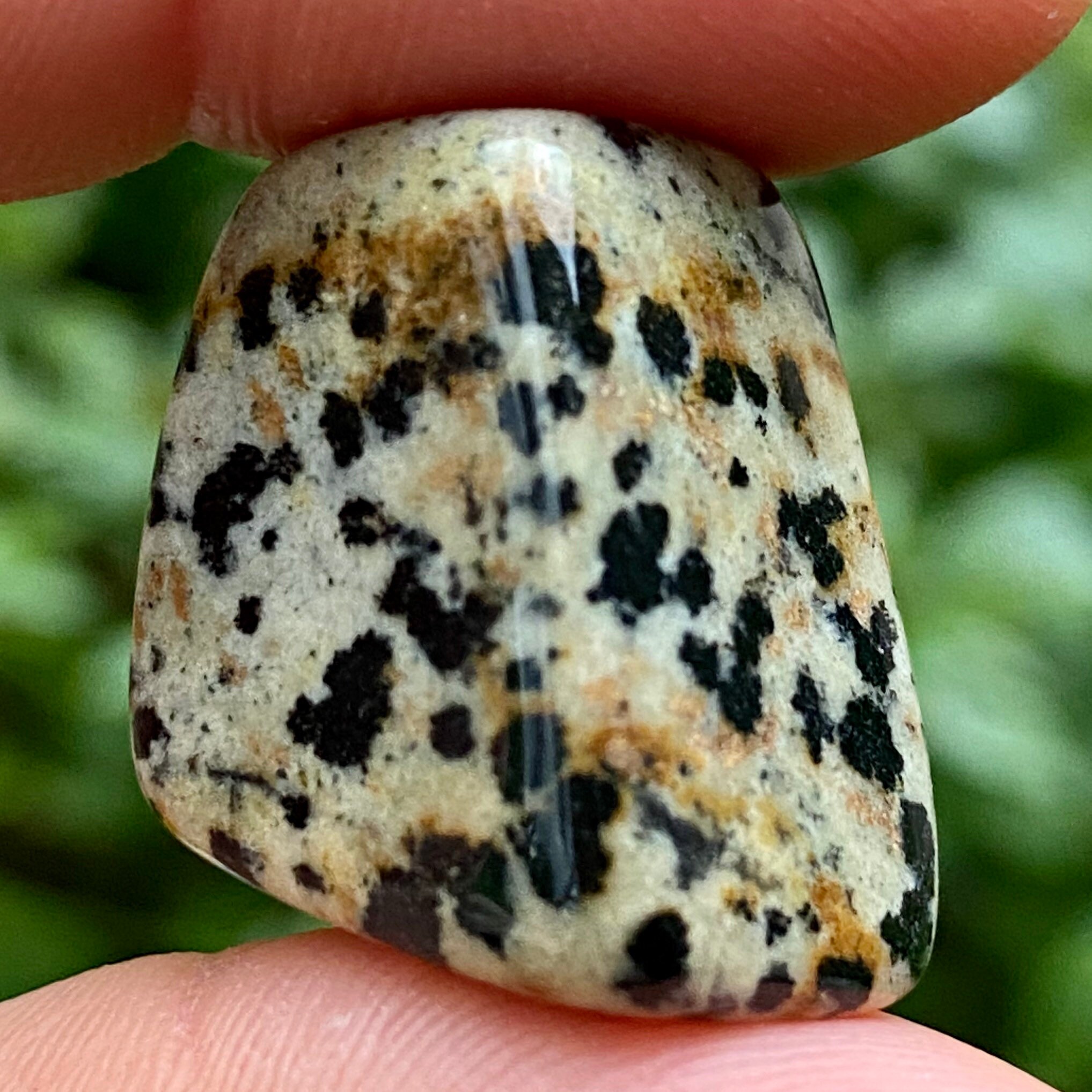 Dalmatian Jasper Dalmatian Jasper Tumbled Stone Tumble | Etsy