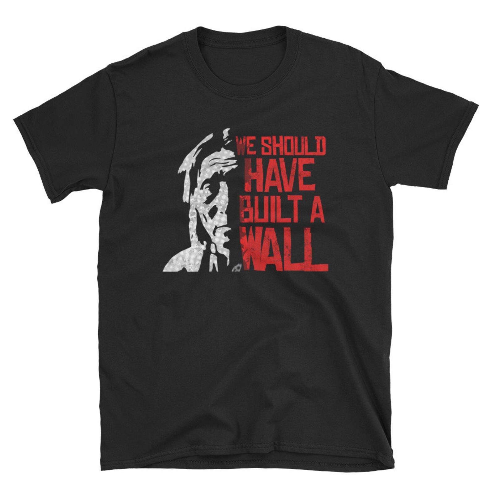 We Should Have Built a Wall Shirt Native American T Shirt Native ...