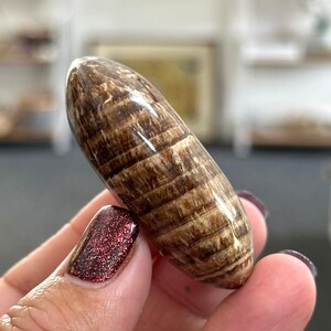 Aragonite Palmstone - Etsy