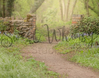 Digital Backdrop/background Old Country Dirt Road Path - Etsy