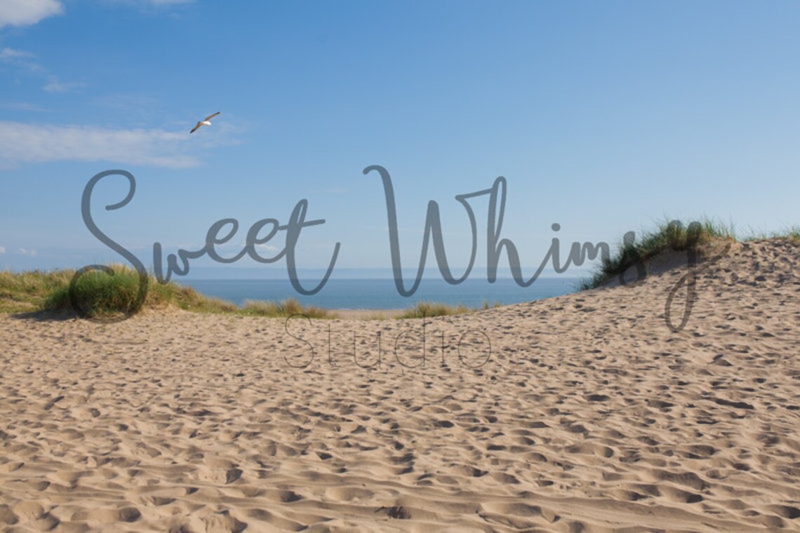 5 Beach Digital Backdrops | Photoshop Digital Backgrounds | Beach ...