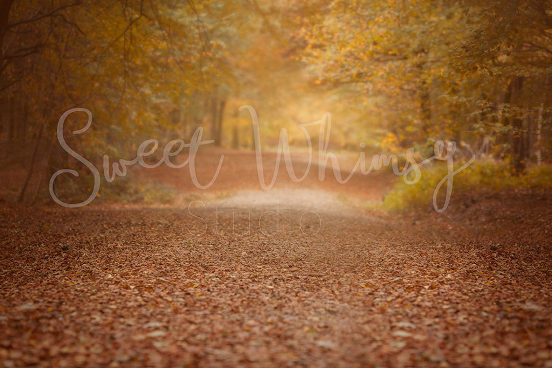 Fall Forest Digital Backdrop | Autumn Photography Background (digital ...