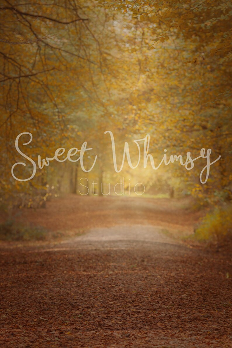 3 Dreamy Fall Forest Digital Backdrops Photoshop Digital Backgrounds ...