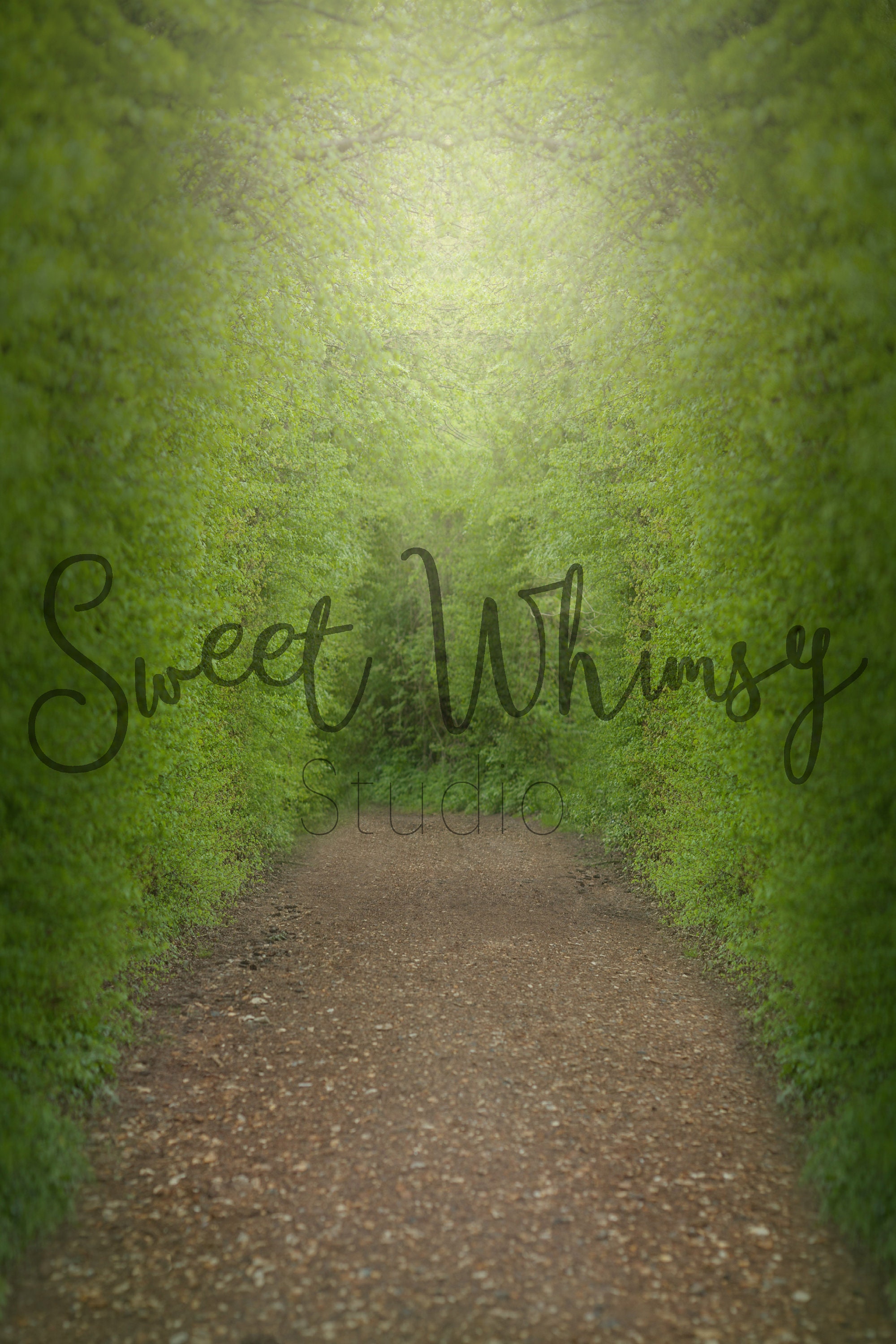 Fantasy Path Digital Backdrop | Photoshop Digital Backgrounds | Forest ...