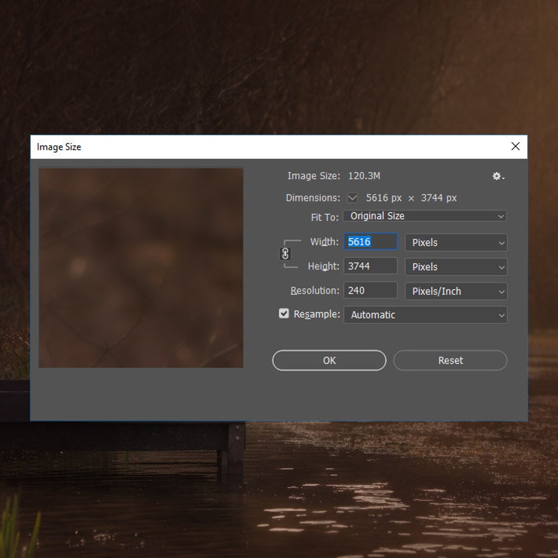 Lakeside Backdrop Digital Backdrops Photoshop Digital | Etsy