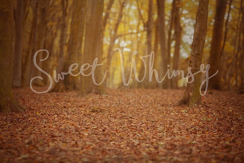 3 Dreamy Fall Forest Digital Backdrops Photoshop Digital Backgrounds ...