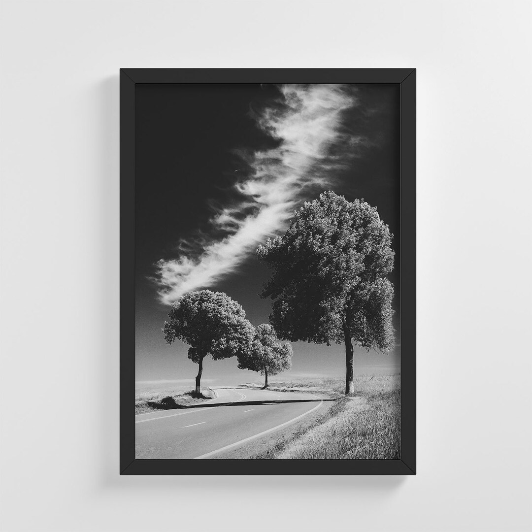 Lonely Trees Photography Frameless Poster Nature Art Print Stylish Home ...