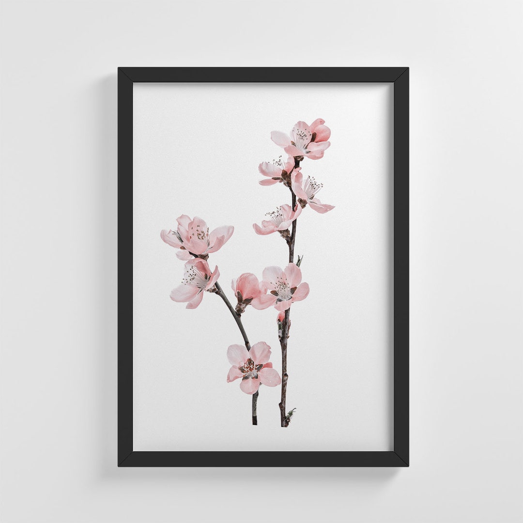 Pink Watercolor Cherry Sakura Blossoms Frameless Poster Nature Art ...