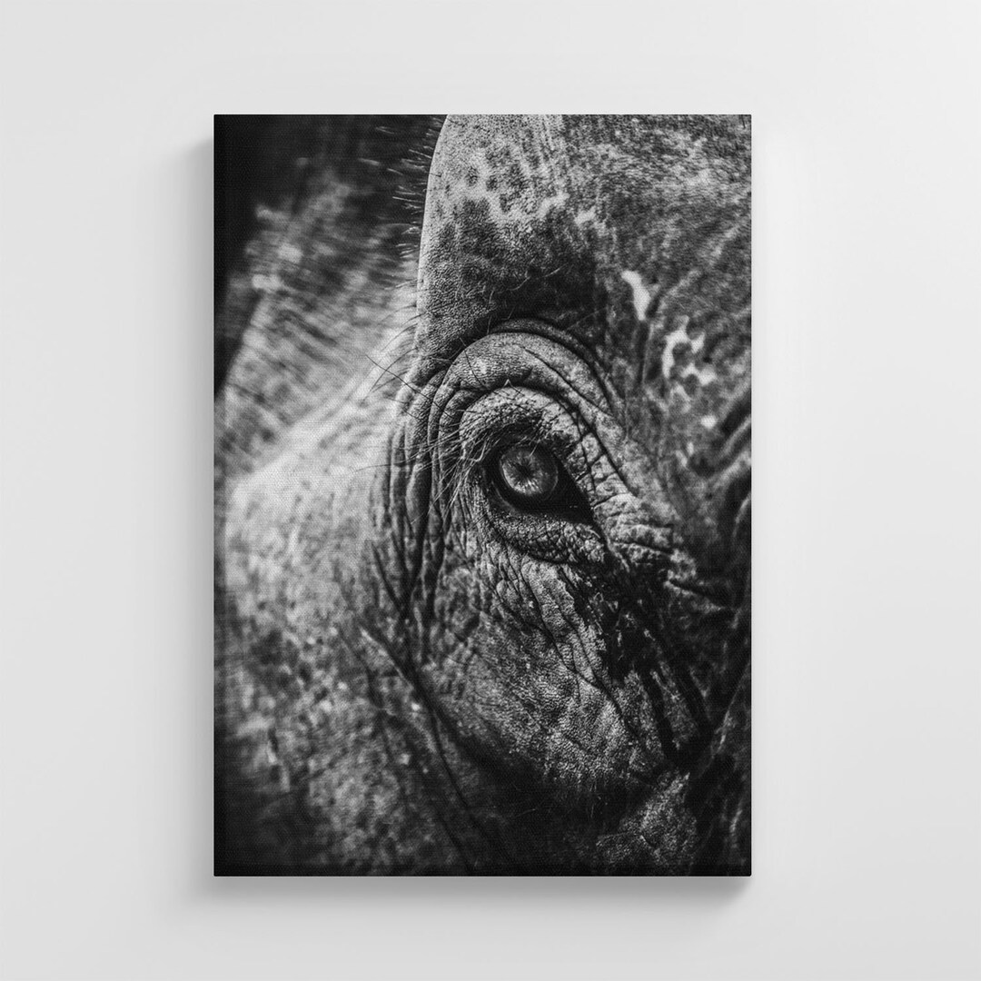 Elephant Eye Wildlife Photography Large Canvas Animal Art Print Stylish ...