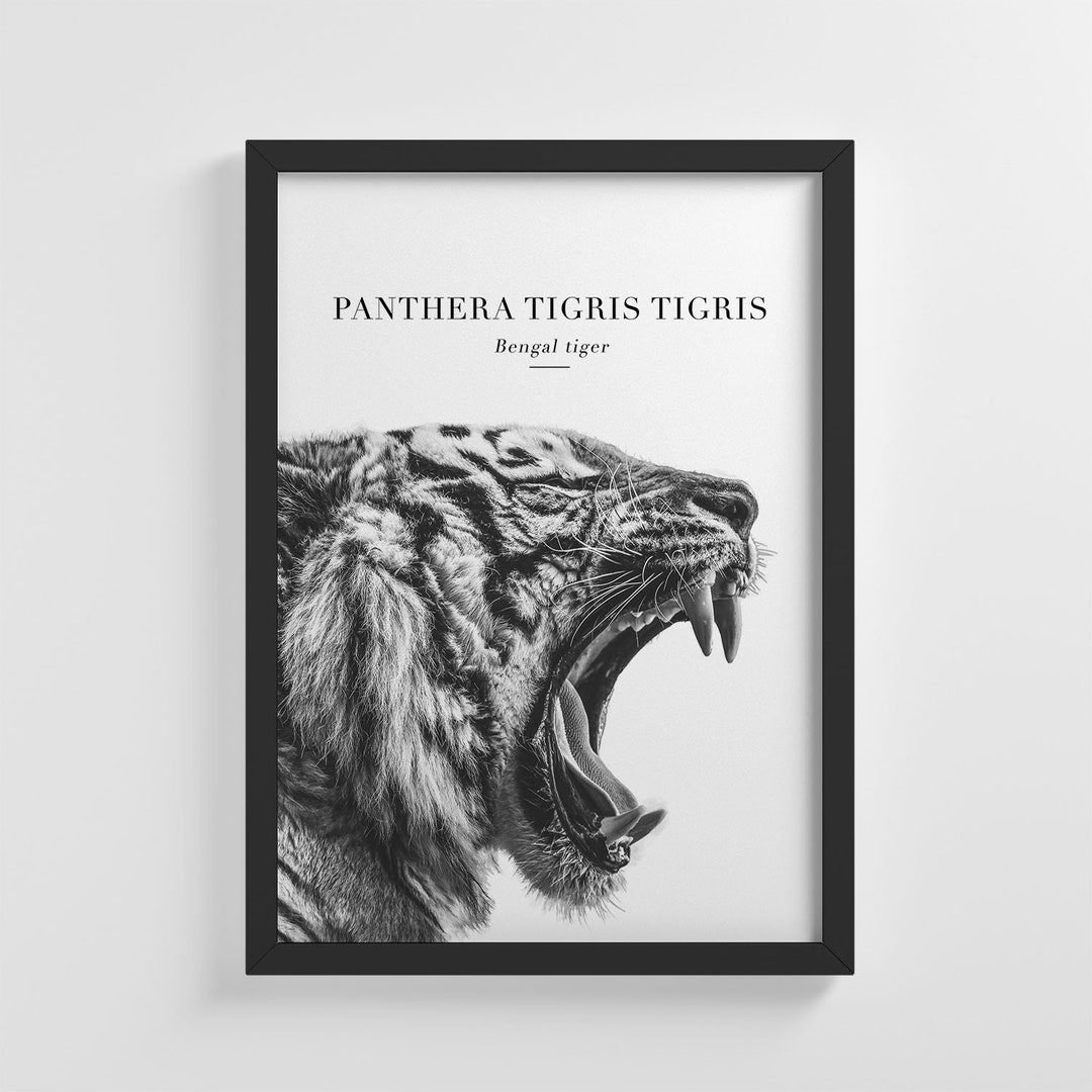 Bengal Tiger Animal Print Frameless Poster Illustration Art Print Home ...