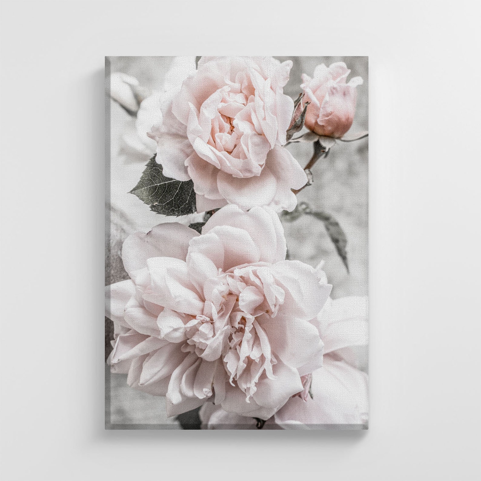 Pink Peony Flower Blossoms Floral Large Canvas Nature Art Print Stylish ...