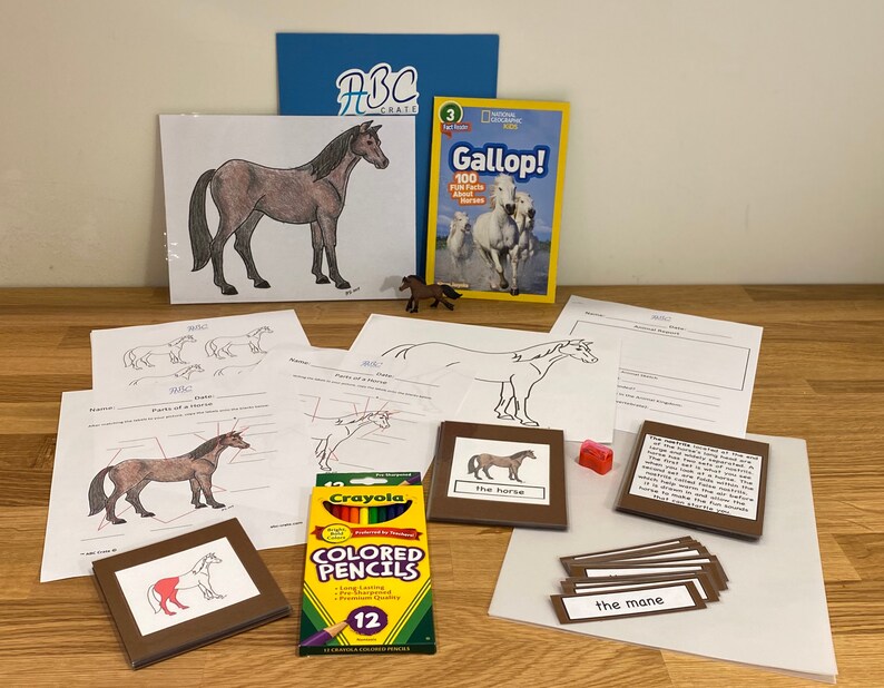 Horses and Mammals Kit - Etsy