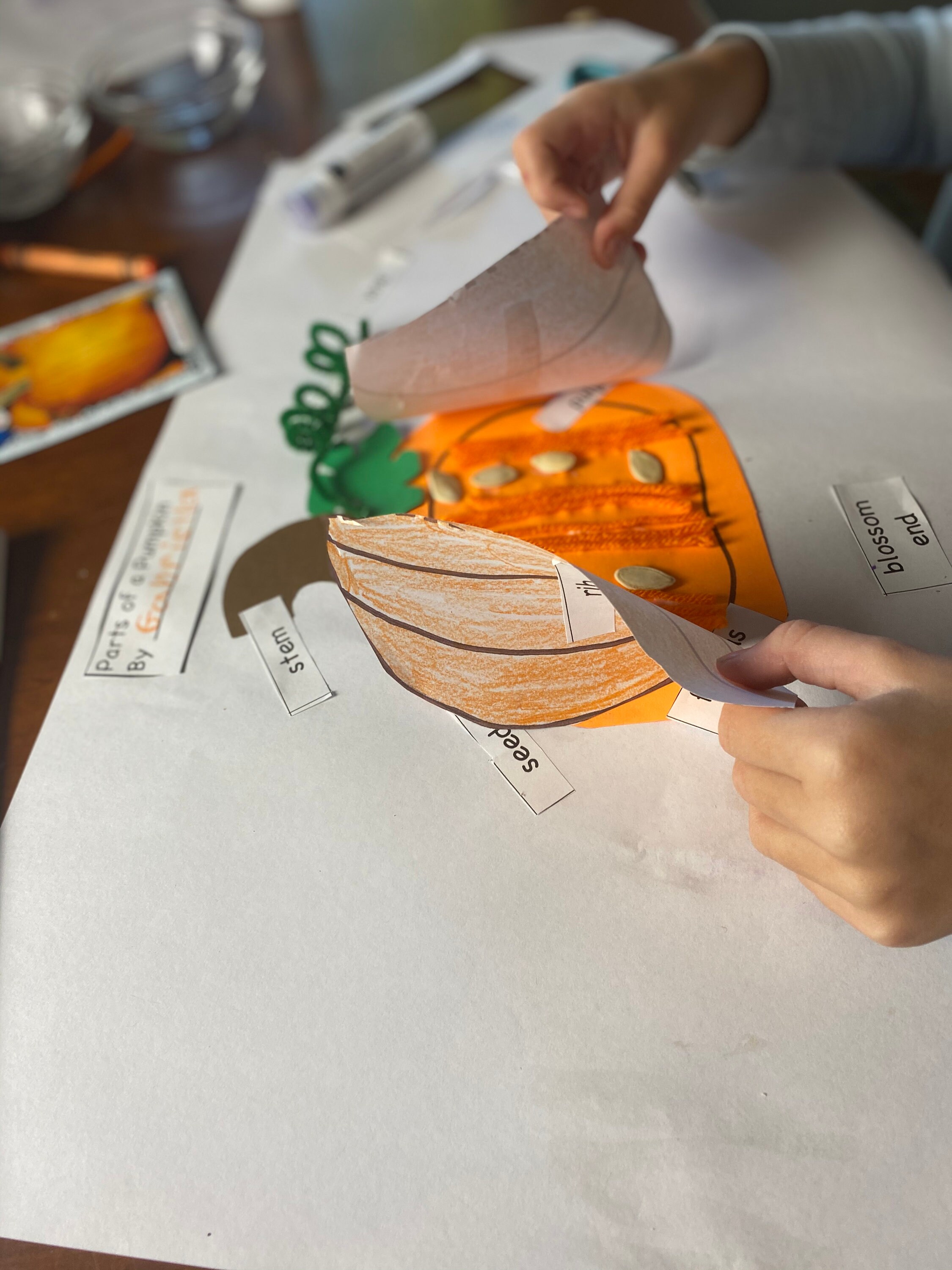 Parts of a Pumpkin Craft Kit - Etsy
