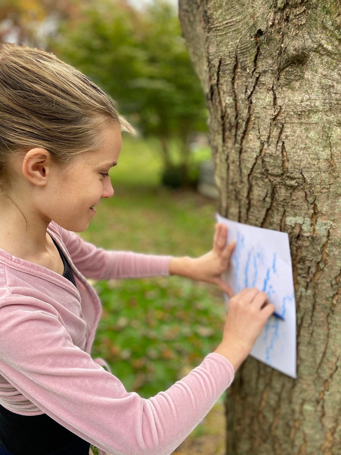 Tree and Leaves Botany Kit | Etsy
