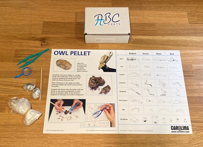 Owl Pellet Dissection Kit - Etsy