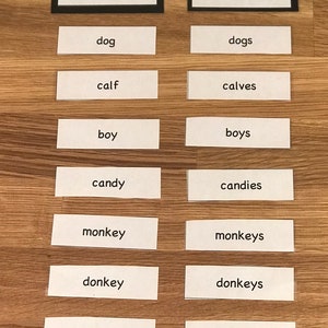 Grammar Kit 1: the Noun Family Kit - Etsy