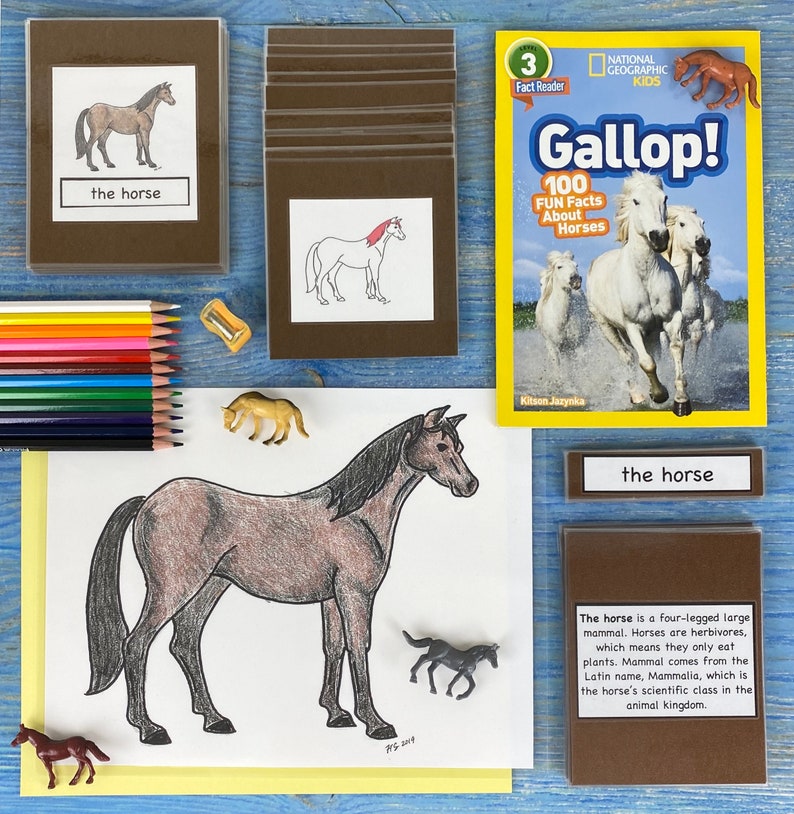 Horses and Mammals Kit - Etsy
