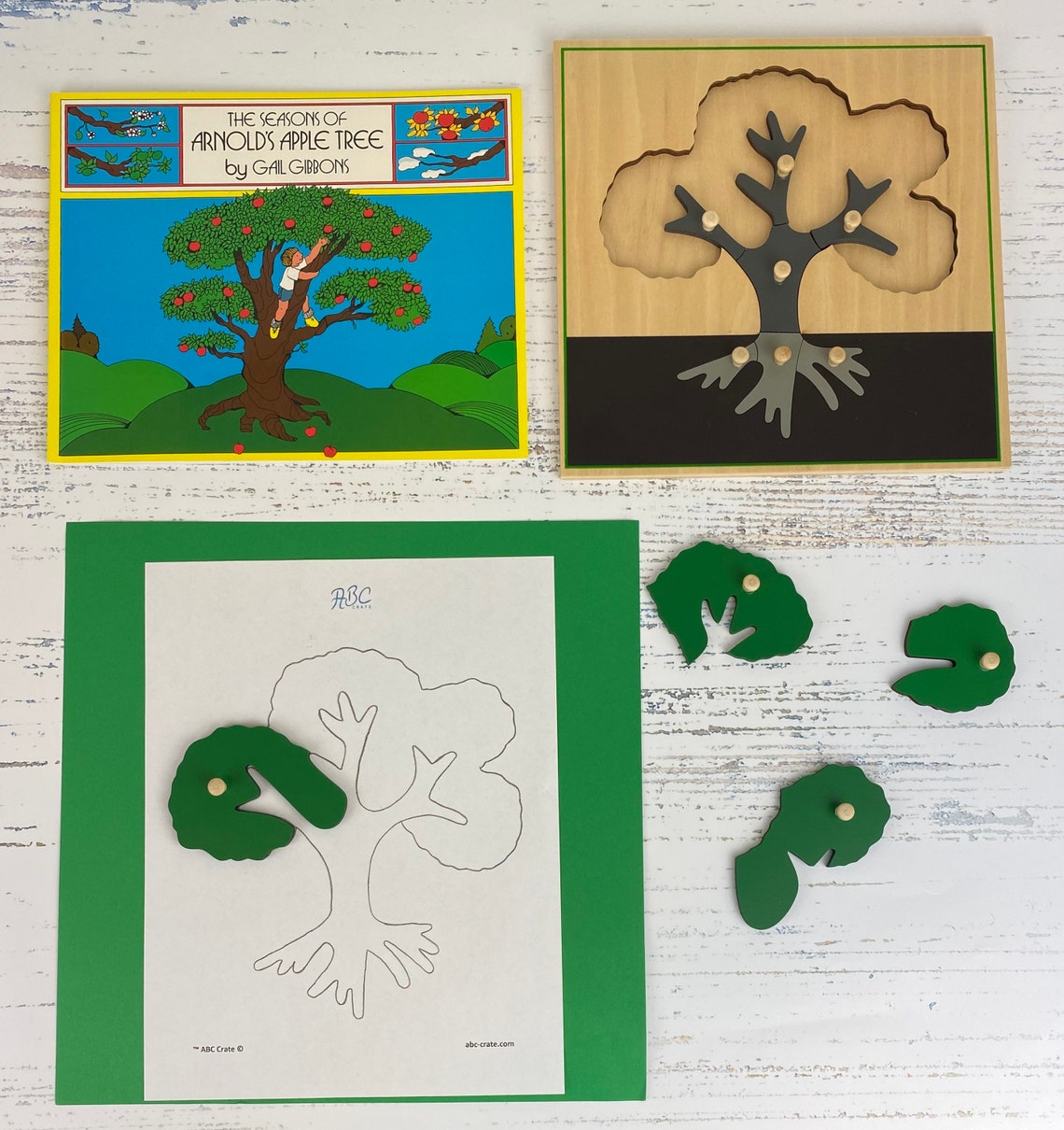 Tree and Leaves Botany Kit | Etsy