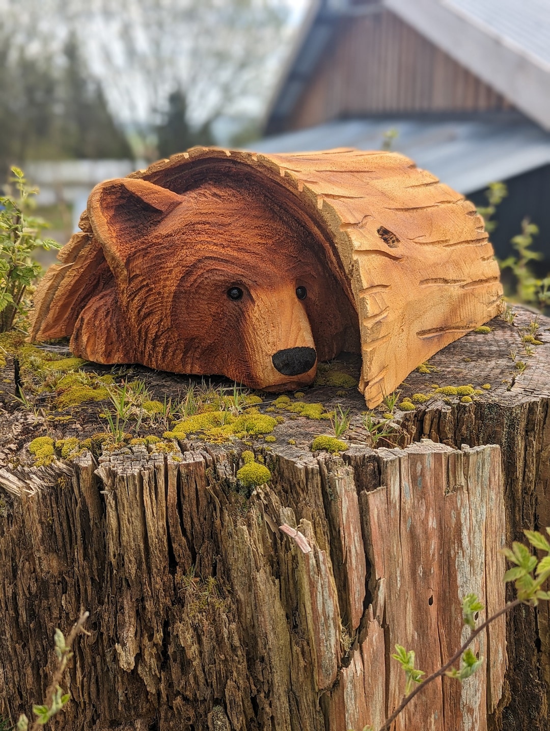 Bear Cub in a Log - Chainsaw Carving - Etsy UK