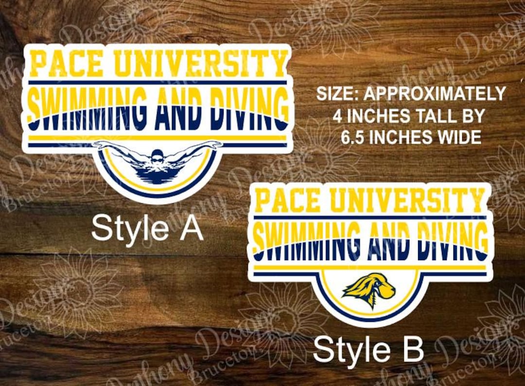 Personalized Swim and Diving Team Vinyl Stickers - Etsy