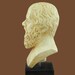 Socrates Head Sculpture Greek Socrates Head Bust Museum - Etsy