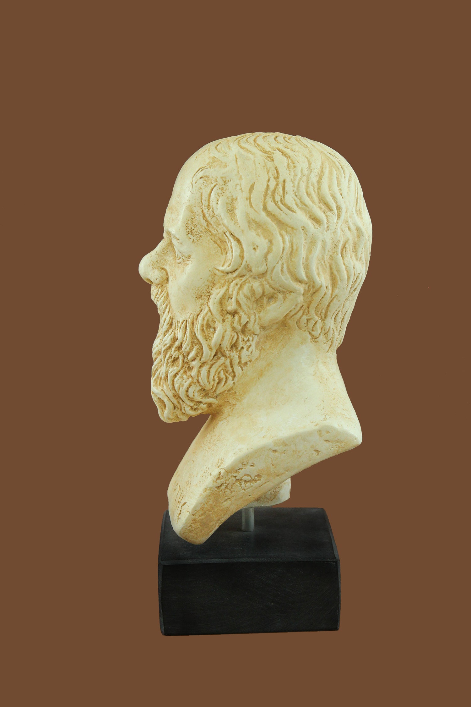 Socrates head sculpture Greek Socrates head bust museum | Etsy
