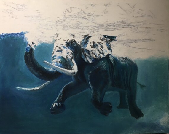 Elephant Swimming Drawing