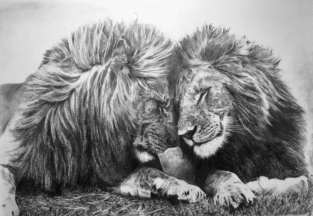 Original Art, Graphite Art, Lions, Father and Son, Home Decor, Office ...