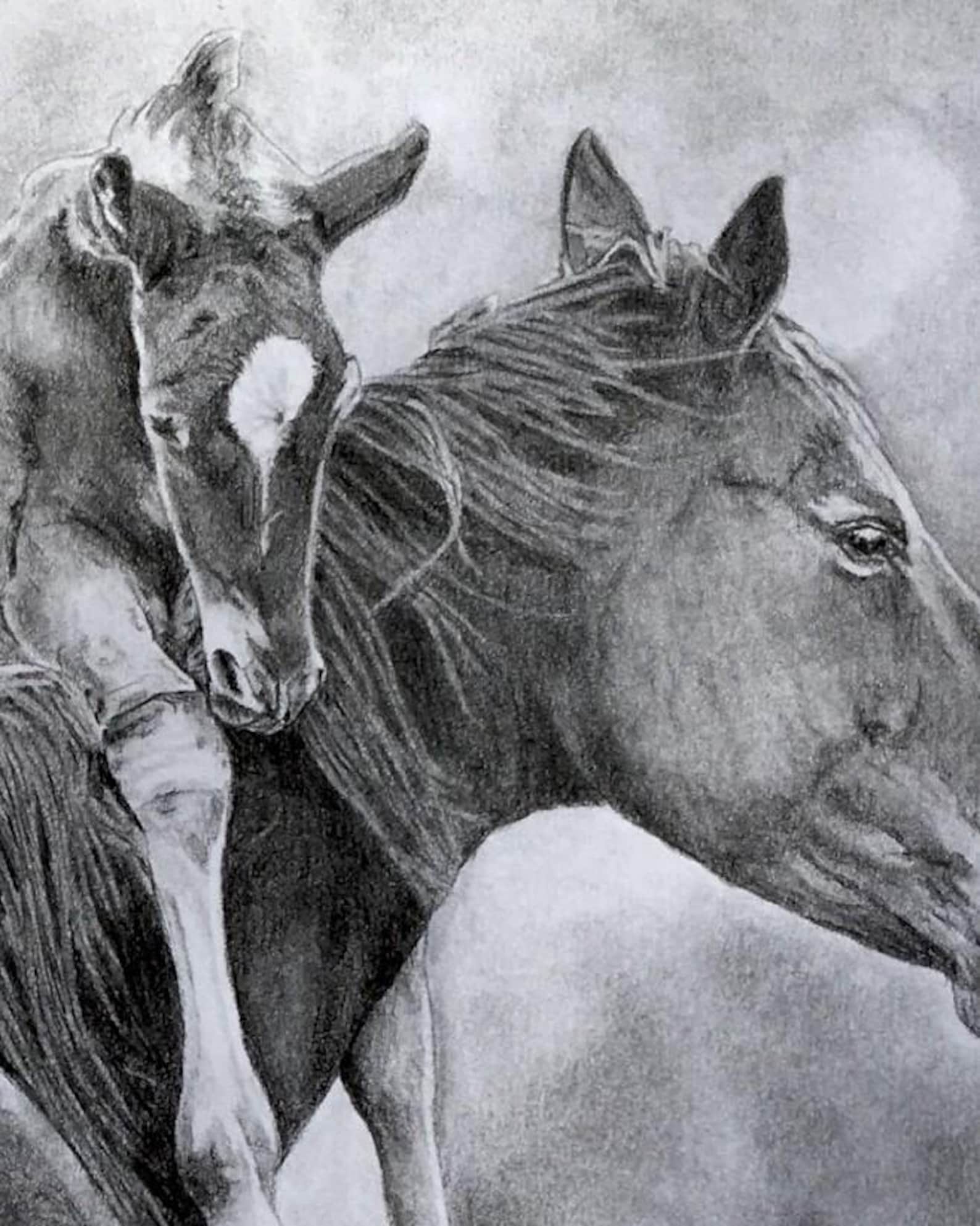 Original Art, Pencil Drawing, Wall Art, Horses, Home Decor, Equestrian ...