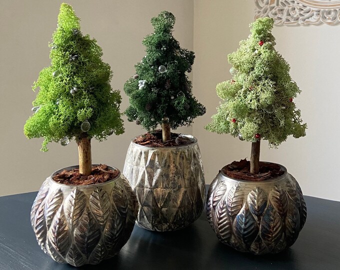 Preserved Moss Christmas Tree | Miniature Christmas Stabilized Moss ...