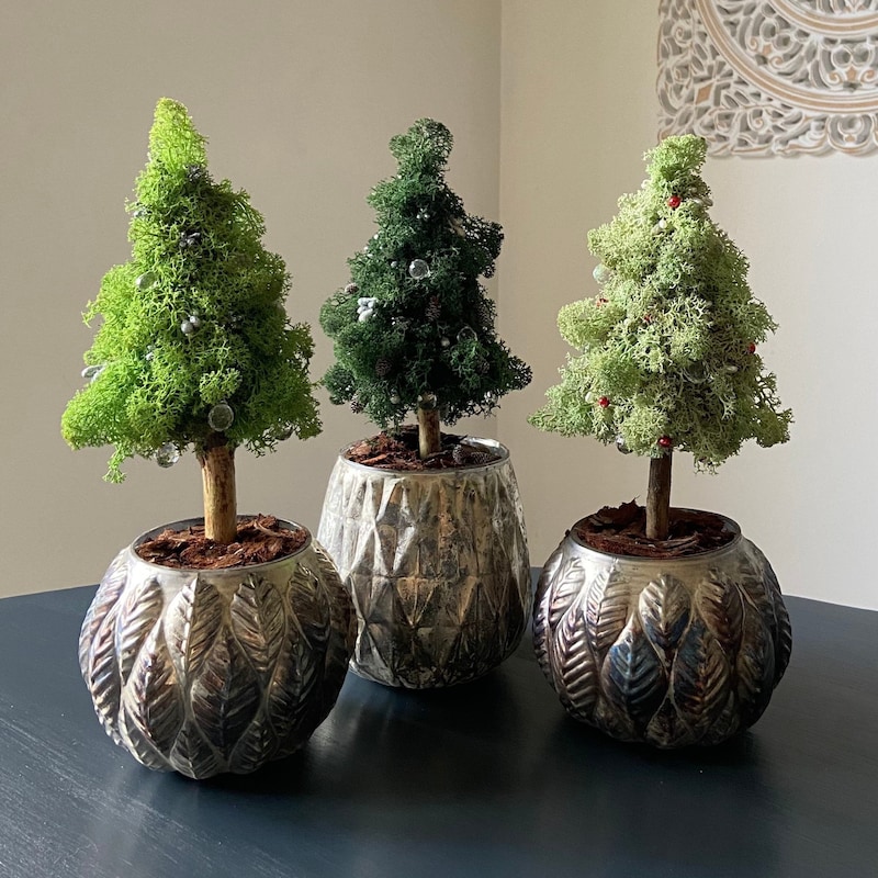 Moss Home Decor - Etsy