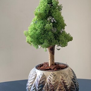 Preserved Moss Christmas Tree | Miniature Christmas Stabilized Moss ...