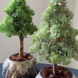 Preserved Moss Christmas Tree | Miniature Christmas Stabilized Moss ...
